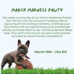 Dog Daycare & Pet Sitting in James Island, SC | Dog Tired Pet Services